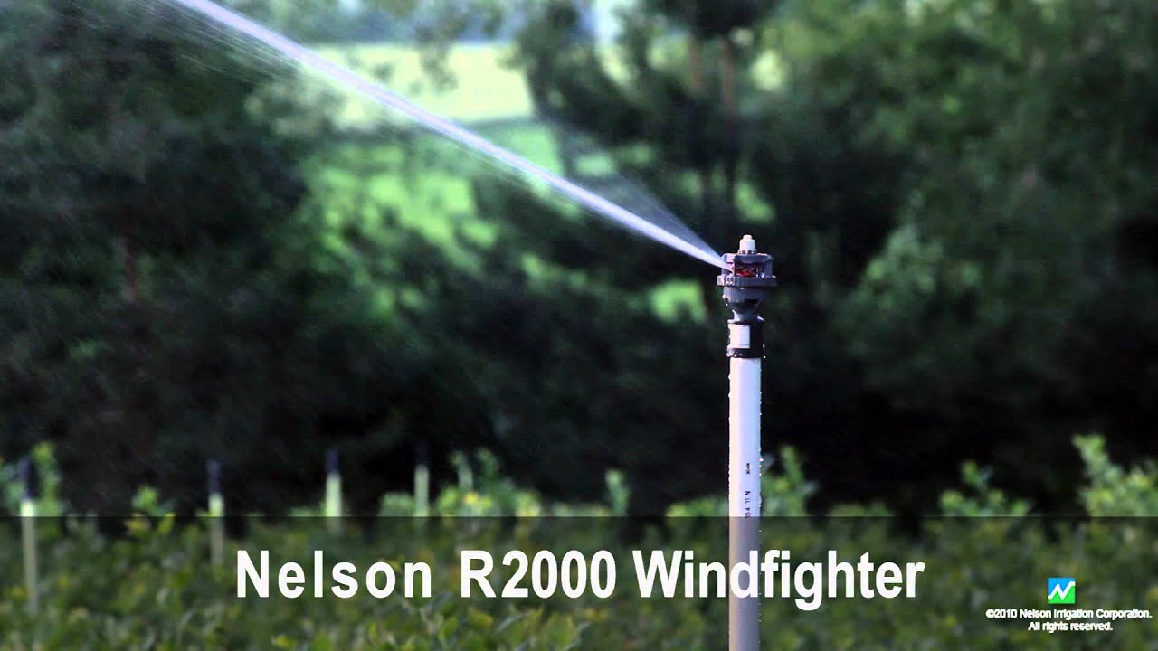 Irrigating Blueberries with Nelson Irrigation's line of Rotator ...