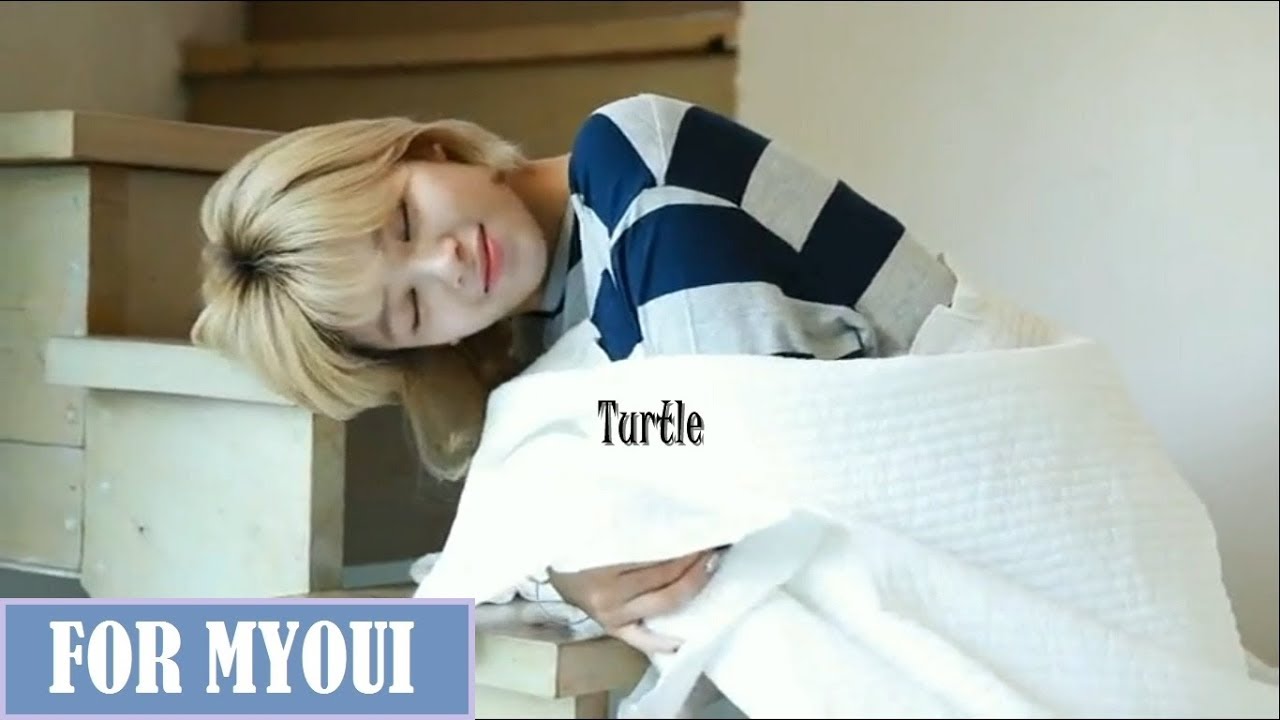 TWICE - 거북이 (TURTLE) FM/V - YouTube