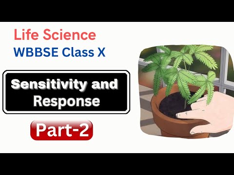 02 .Sensitivity and response|class 10 wbbse | life science | biology ...
