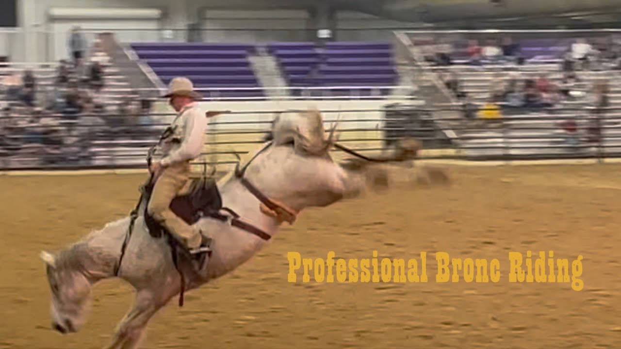 Let's Get It: Professional Bronc Riding | Ocala, Florida - YouTube