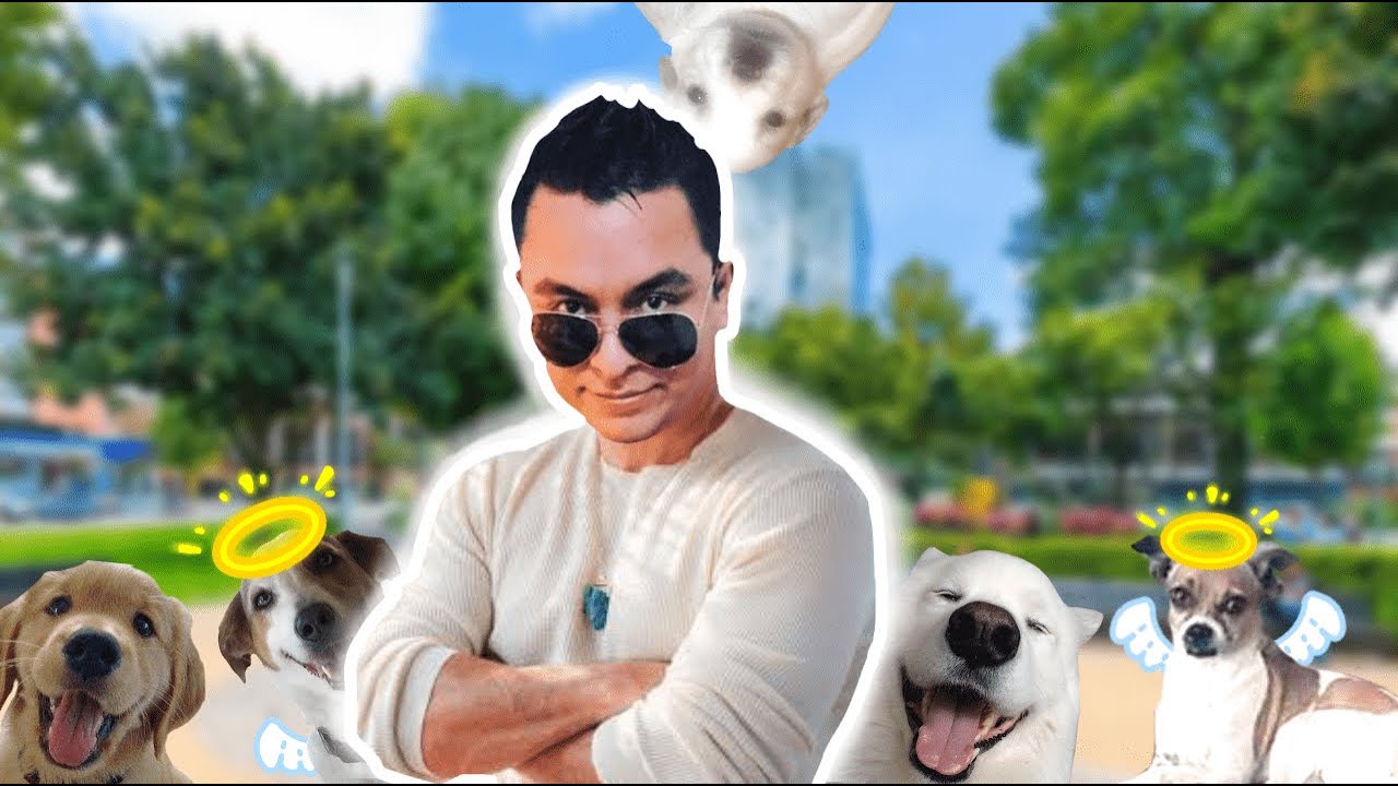 Kbezuko, el mejor entrenador de mascotas. #Kbezuko #Universop4 - YouTube