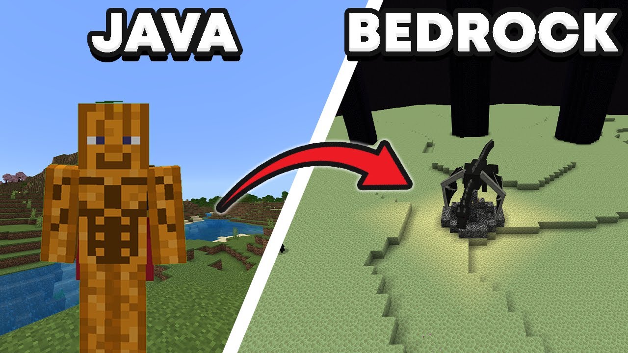JAVA player fights the BEDROCK ender dragon! - YouTube