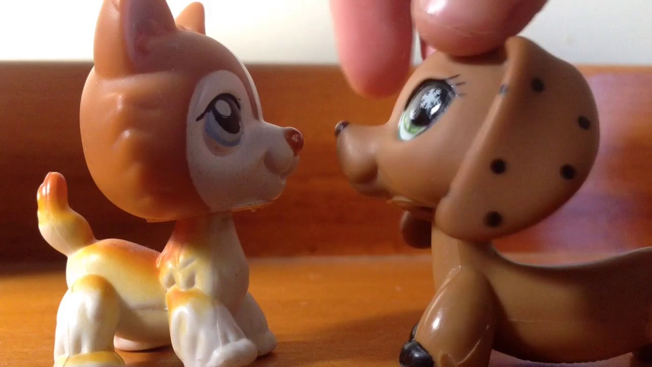 Alice Lps Contest Entry - YouTube