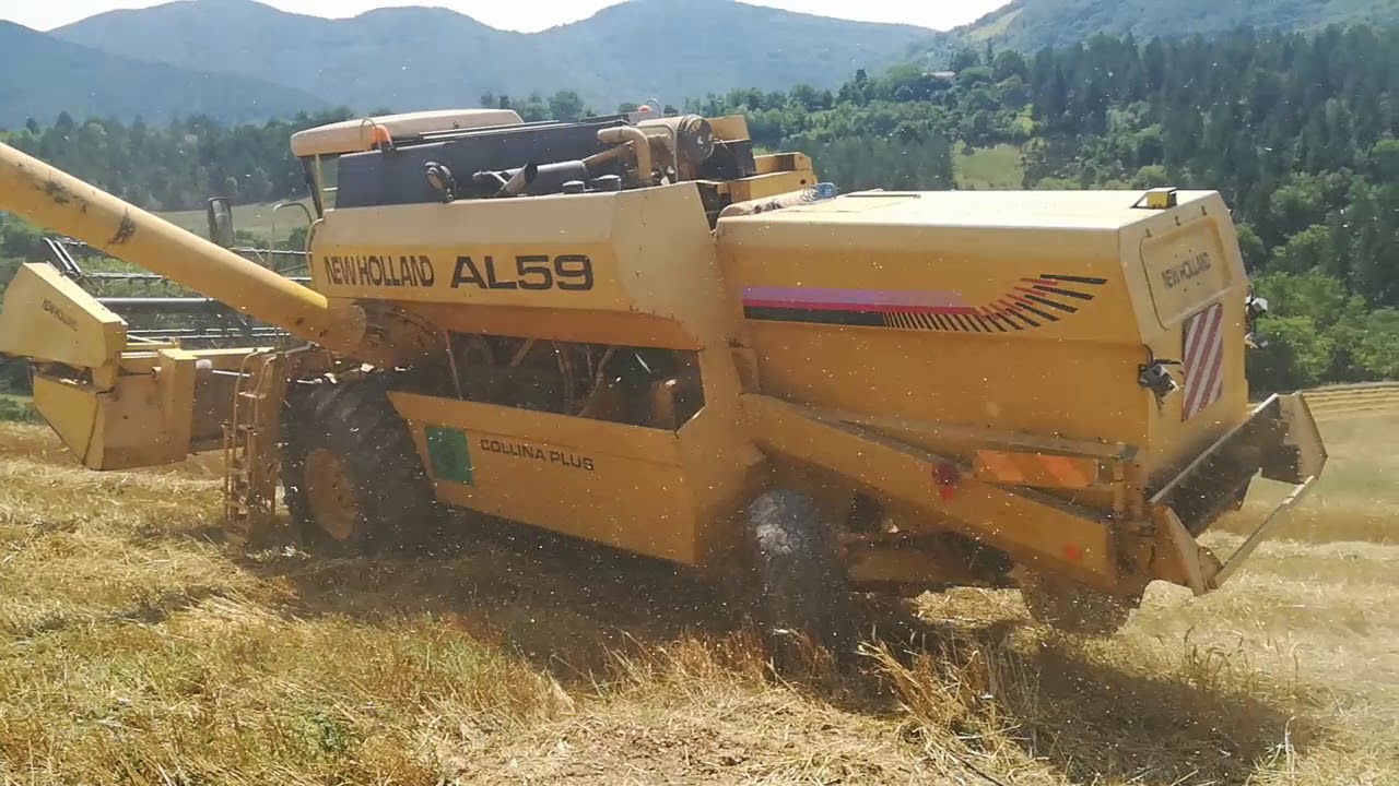 New Holland AL59 grano tenero 2019 - YouTube