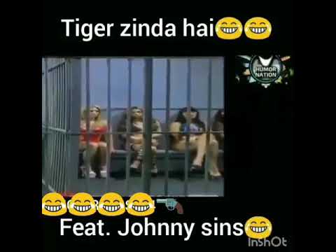 Tiger zinda hai | ft. Johnny Sins 😂😂
