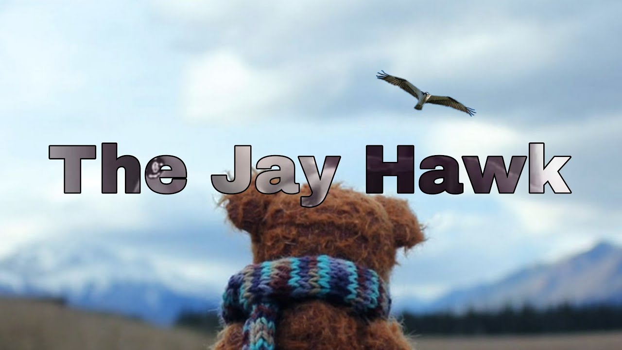 The Jay Hawk - YouTube