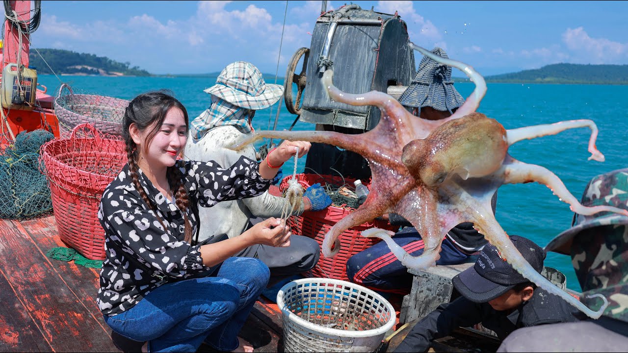 Have You Ever Seen Octopus Catching In This Way - Amazing Octopus ...
