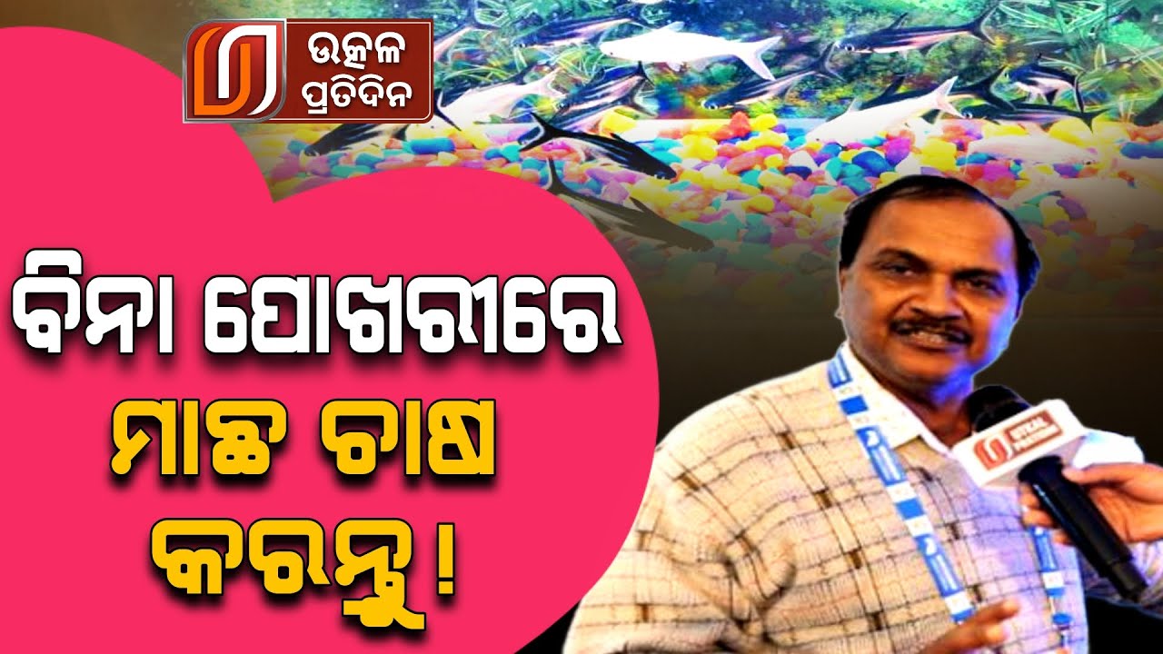 ବିନା ପୋଖରୀରେ କରନ୍ତୁ ମାଛ ଚାଷ! || Biofloc Fish Farming Technology ...