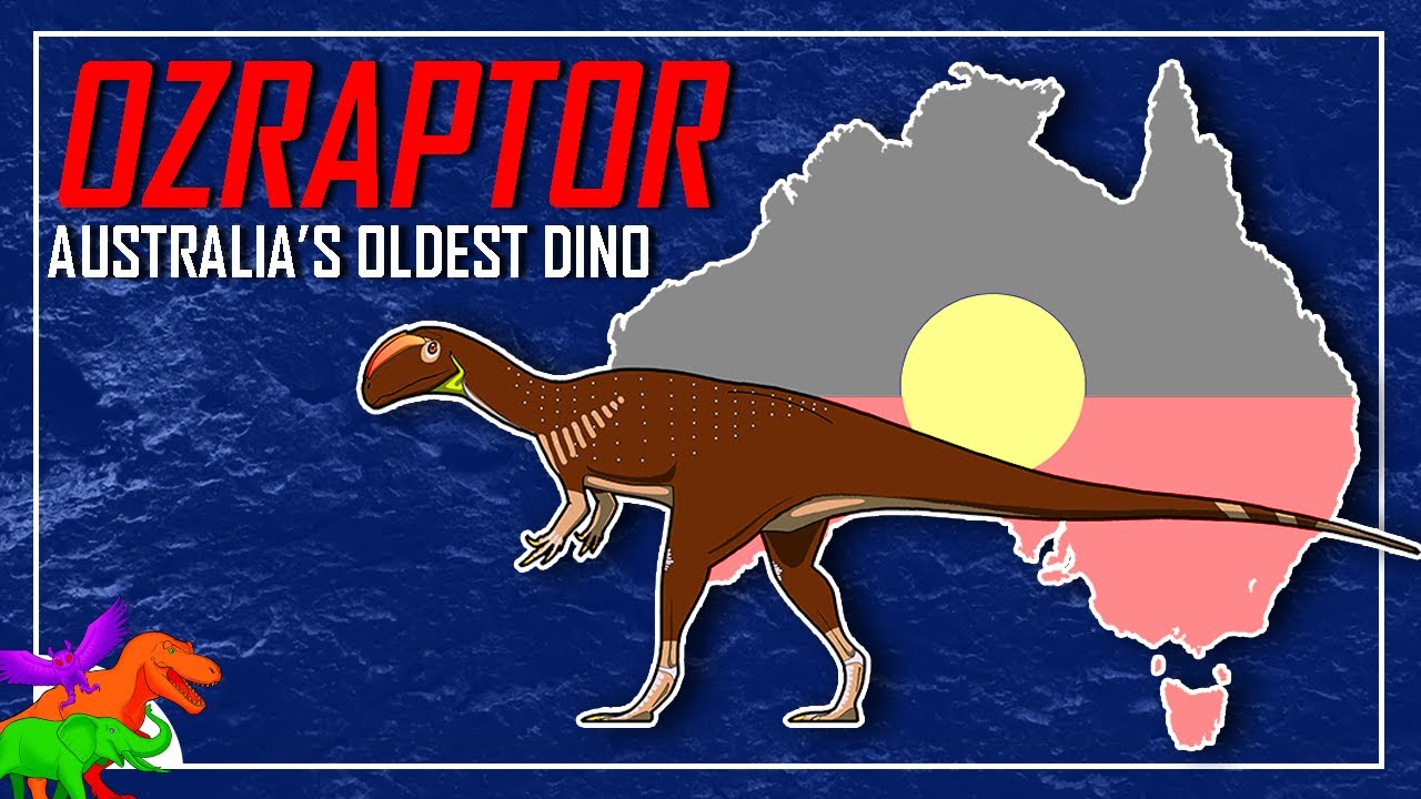 Oldest Australian Dinosaur Is A Theropod Mystery Box | Ozraptor - YouTube