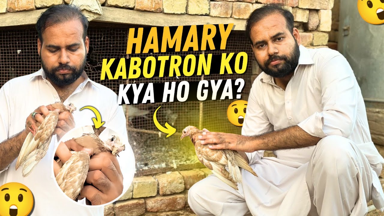Village Routine Work | Beautiful Village In Pakistan | Jutt sb Na Aj Ki ...