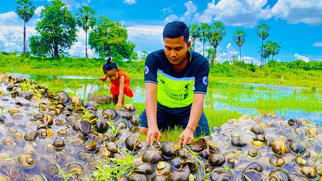 Catch & Cook Snails for Food ! Snails With Young Bamboo Soup - Snails ...