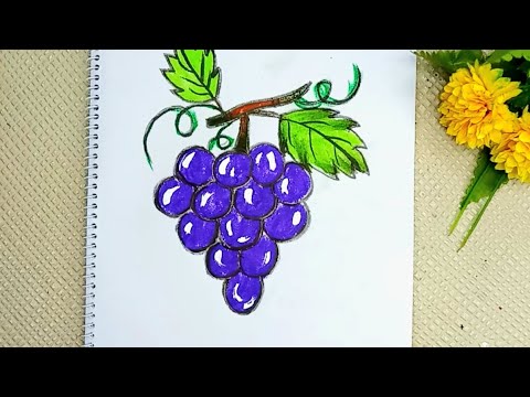 How to draw grapes fruit || Angur Fol Drawing - YouTube