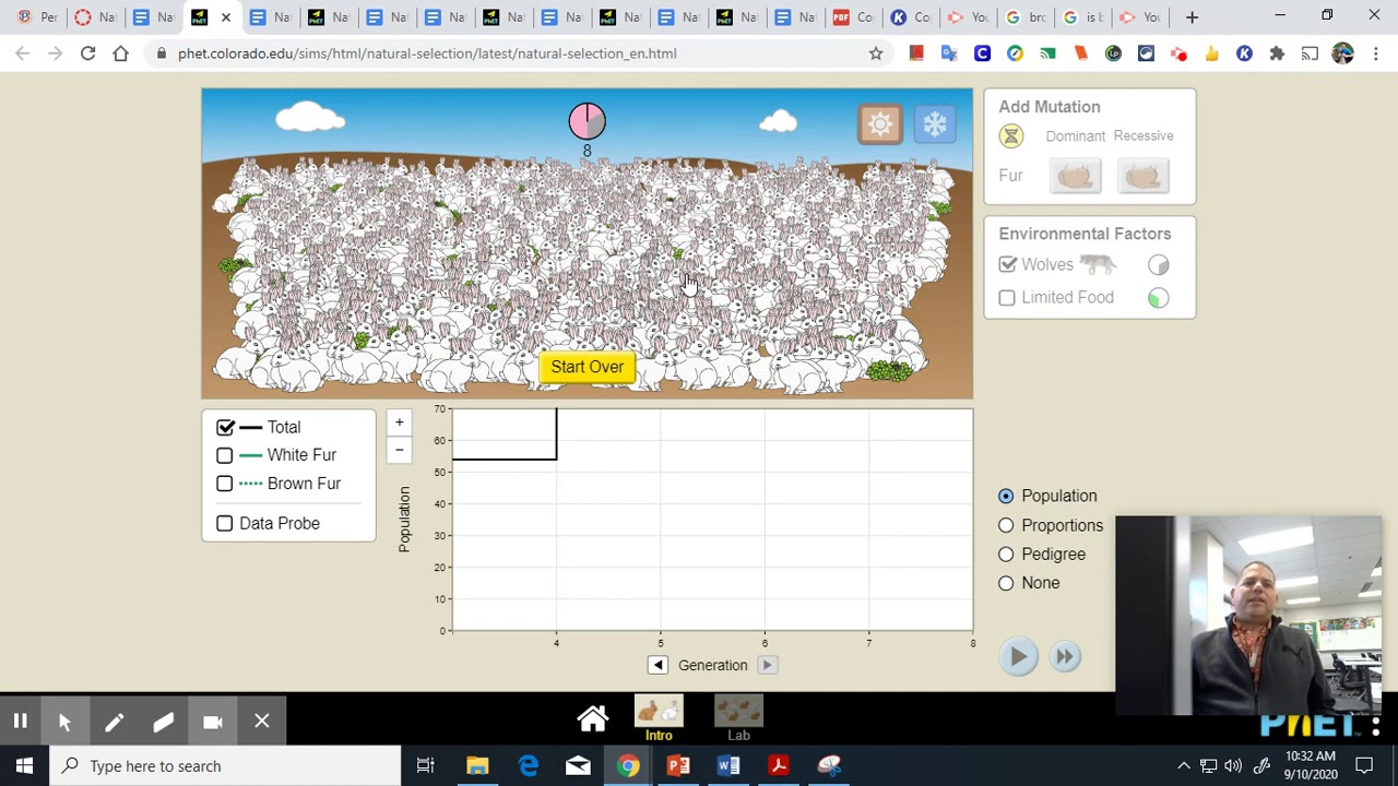 Natural Selection Simulation - YouTube