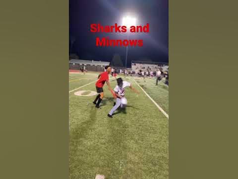Sharks and Minnows Halftime Game - YouTube