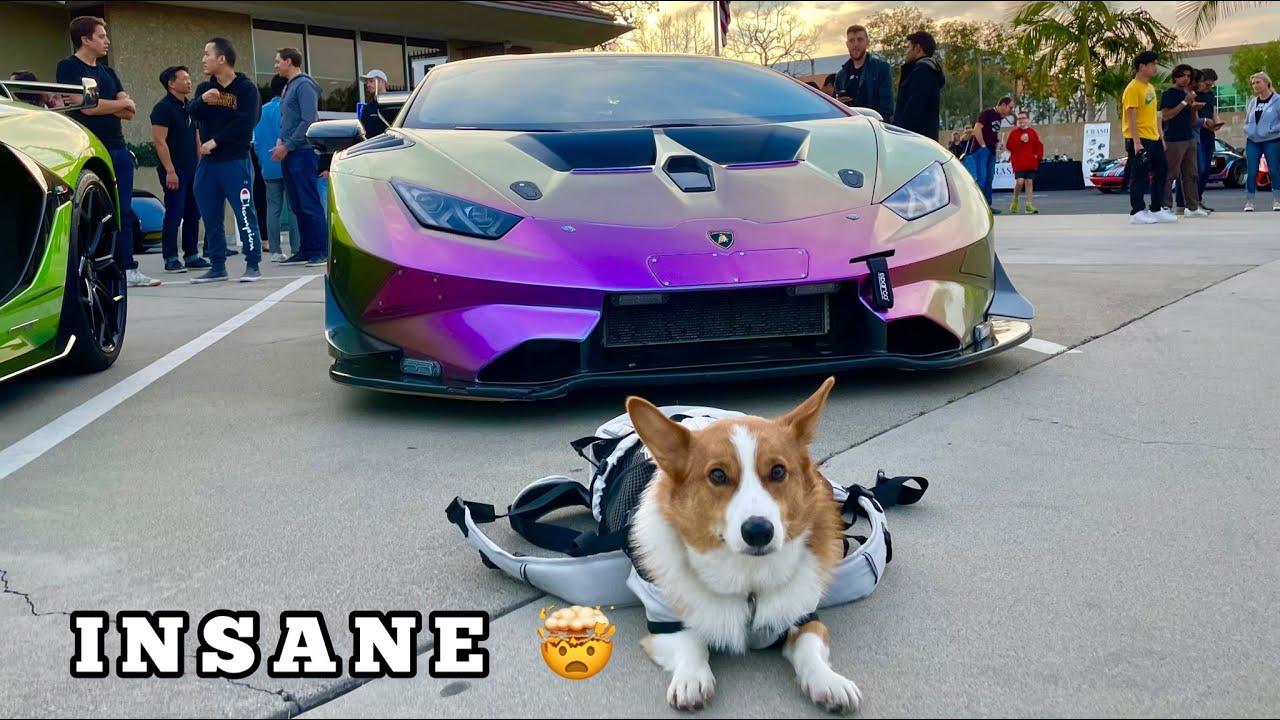 Alex Choi's Lamborghini Huracan Super Trofeo Evo - YouTube