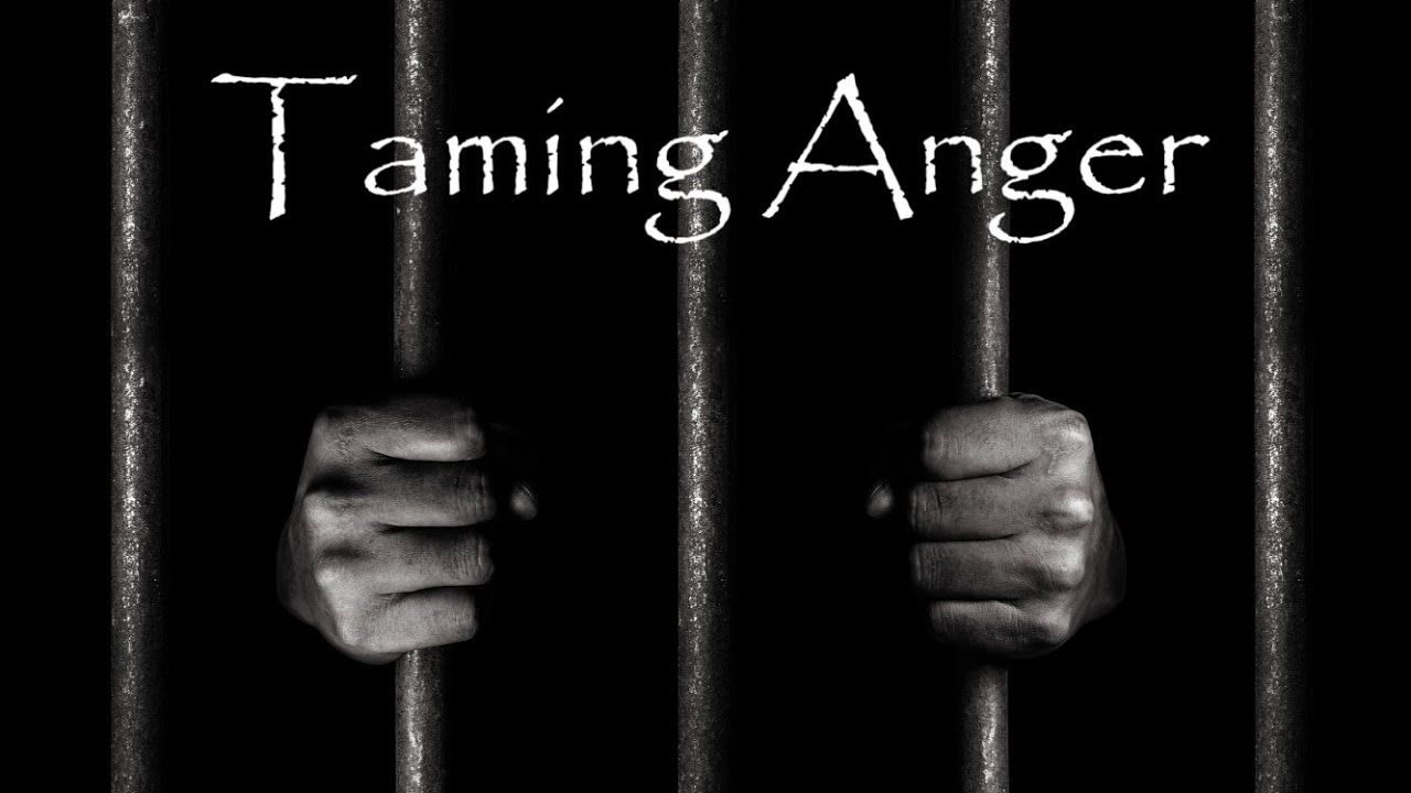 An Alternate View: Taming Anger - YouTube