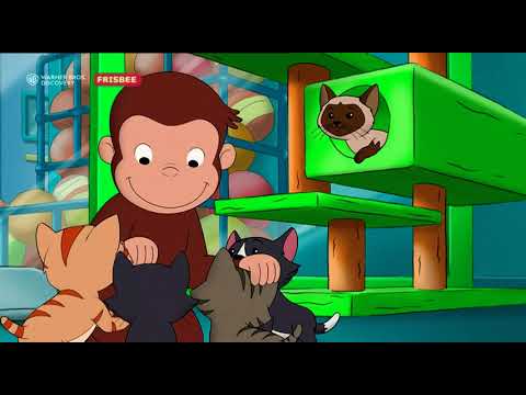 15x03 George e il cucciolo smarrito