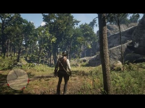 Red Dead Redemption 2 Caza: Ardilla Listada Perfecto Estado - YouTube