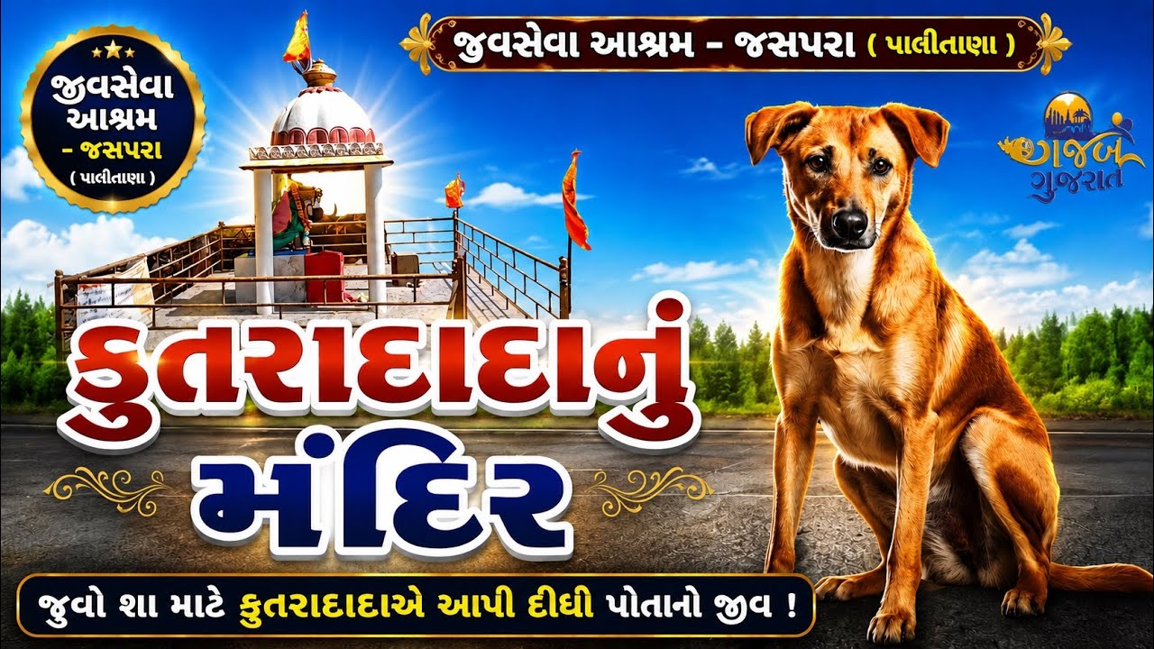 કુતરા દાદાનું ચમત્કારીક મંદિર | કુતરાદાદા નો ઈતિહાસ | temple of ...