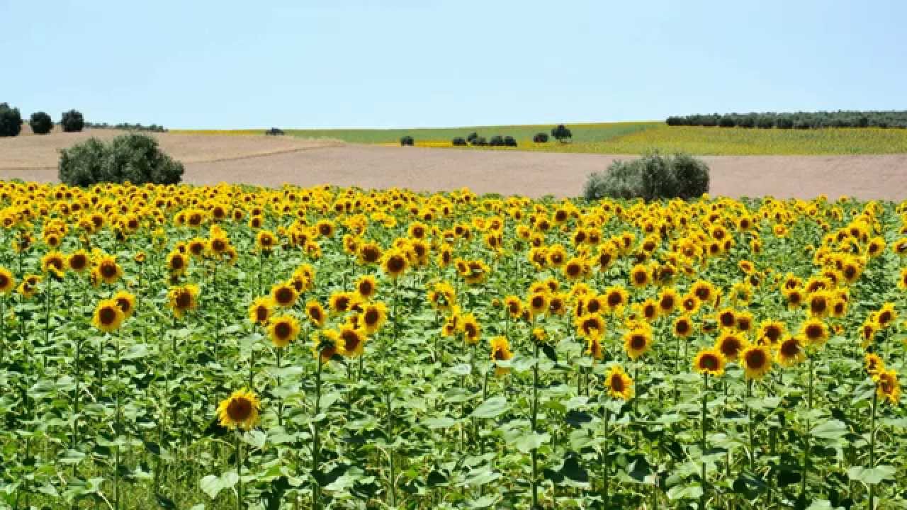 Alentejo, Belas paisagens de Portugal - YouTube