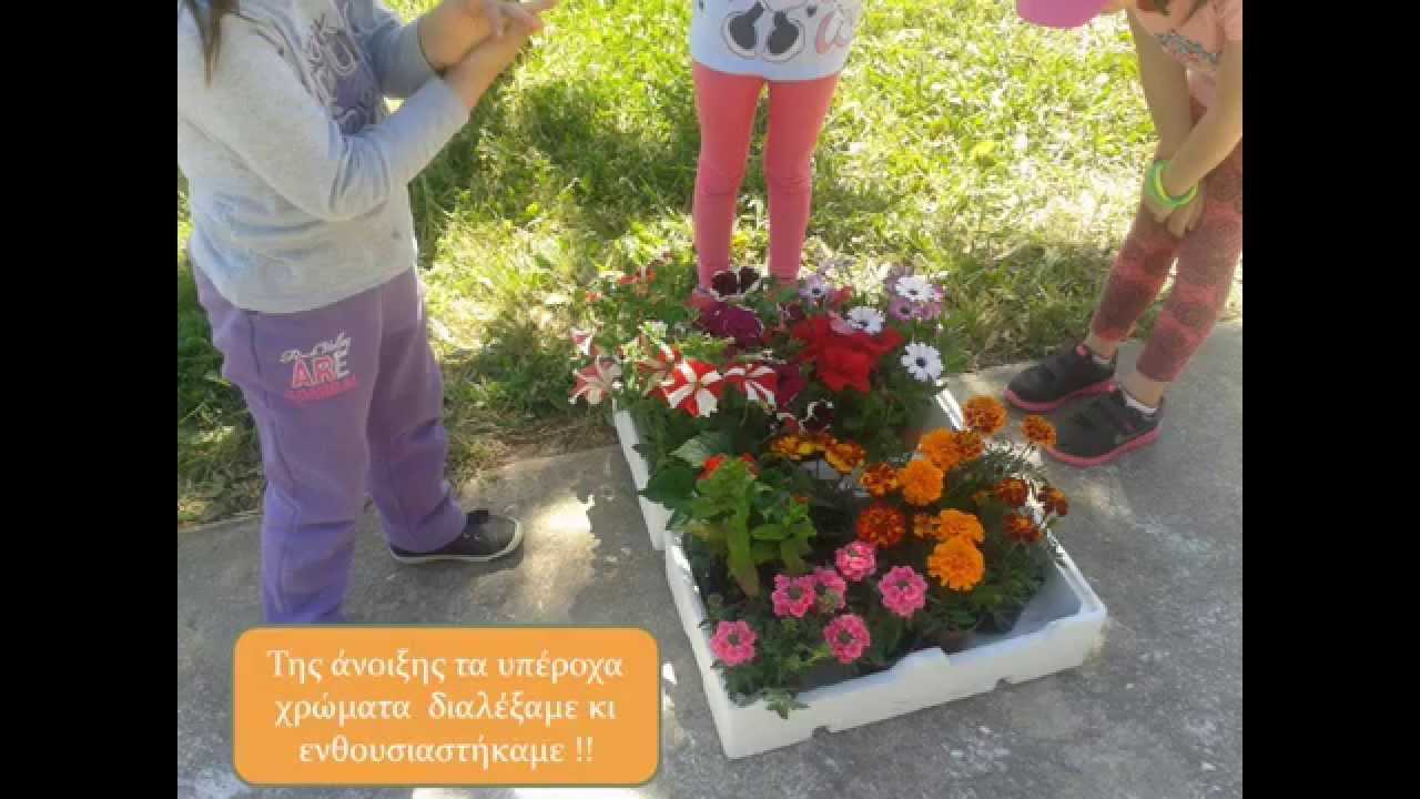 Κάθετοι κήποι! - YouTube