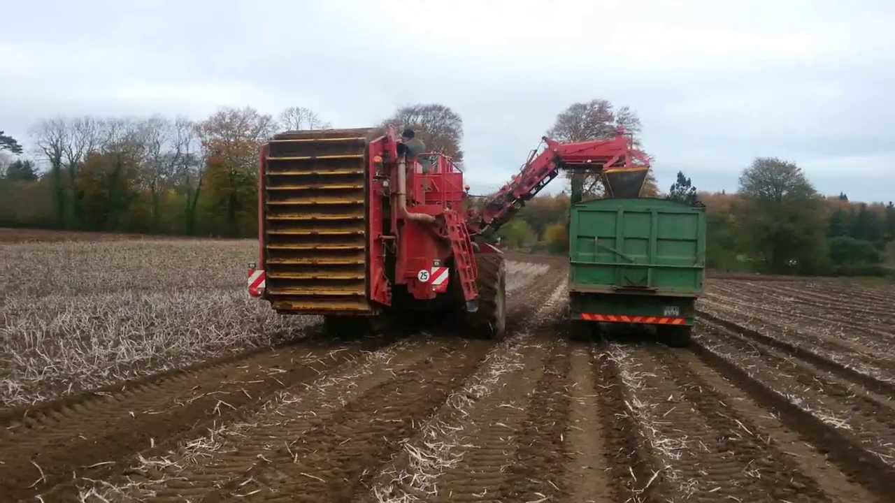 Potato Harvesting at Slaney Farms Enniscorthy Wexford Ireland - YouTube