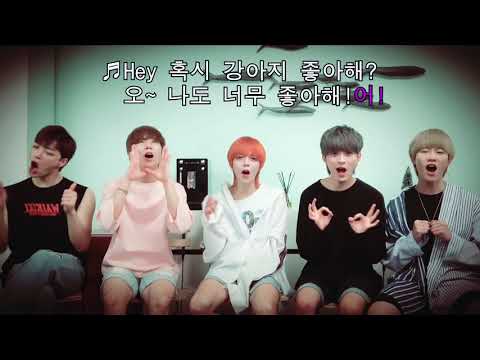 엔티크(N.TIC) 3rd 'Fiction' 응원법