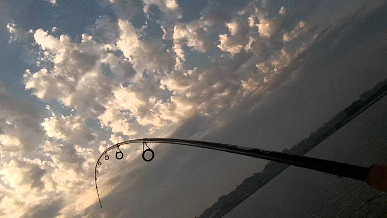 Fishing with Xai - Pier King Salmon Fishing On Shore - YouTube