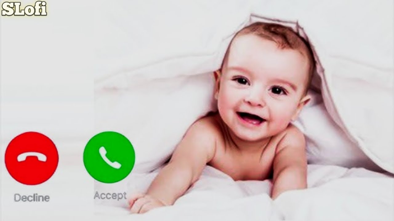 Message cat funny ringtone🤭 notification cat sms ringtone 2025 ...