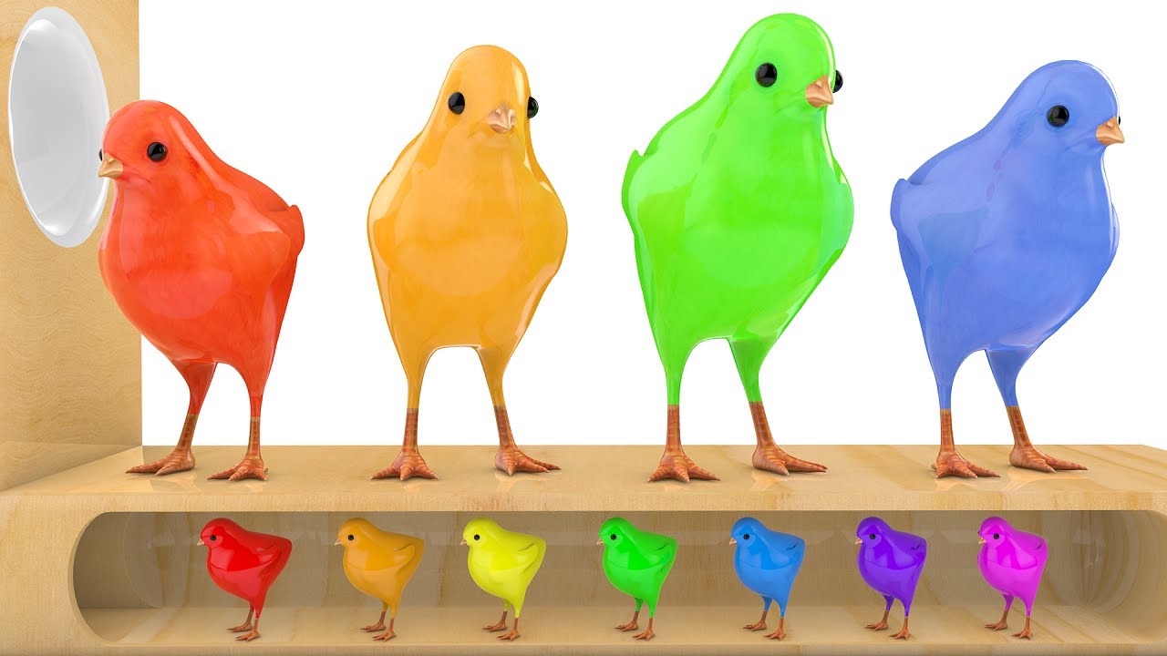 이름과 소리 동물 닭 색깔을 배우십시오 Animals Chicken Learning Video - YouTube