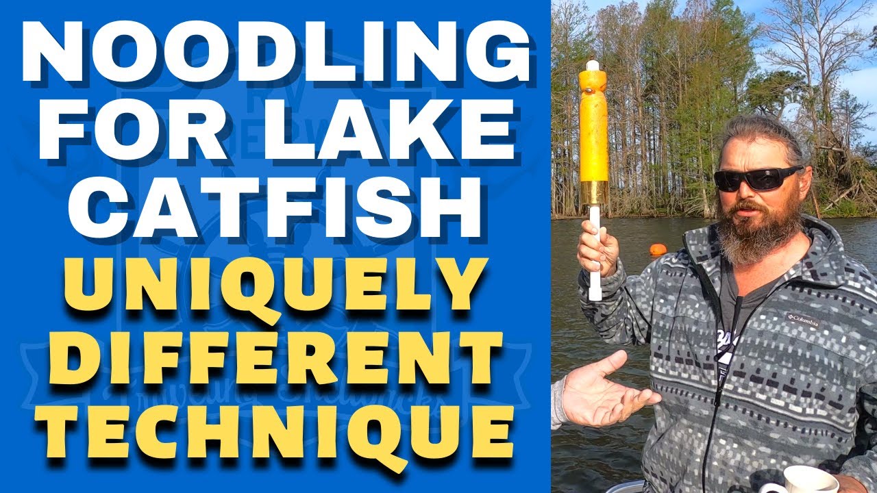 Catfish Noodling On Lake Eufaula - An Unusual Fishing Technique - YouTube