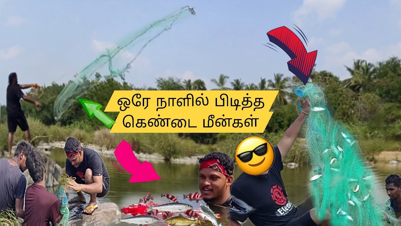 😱😱😱😱நடு ஆற்றில் விசிறி வீசி மீன் வேட்டை | castnet fishing video | Tamil ...