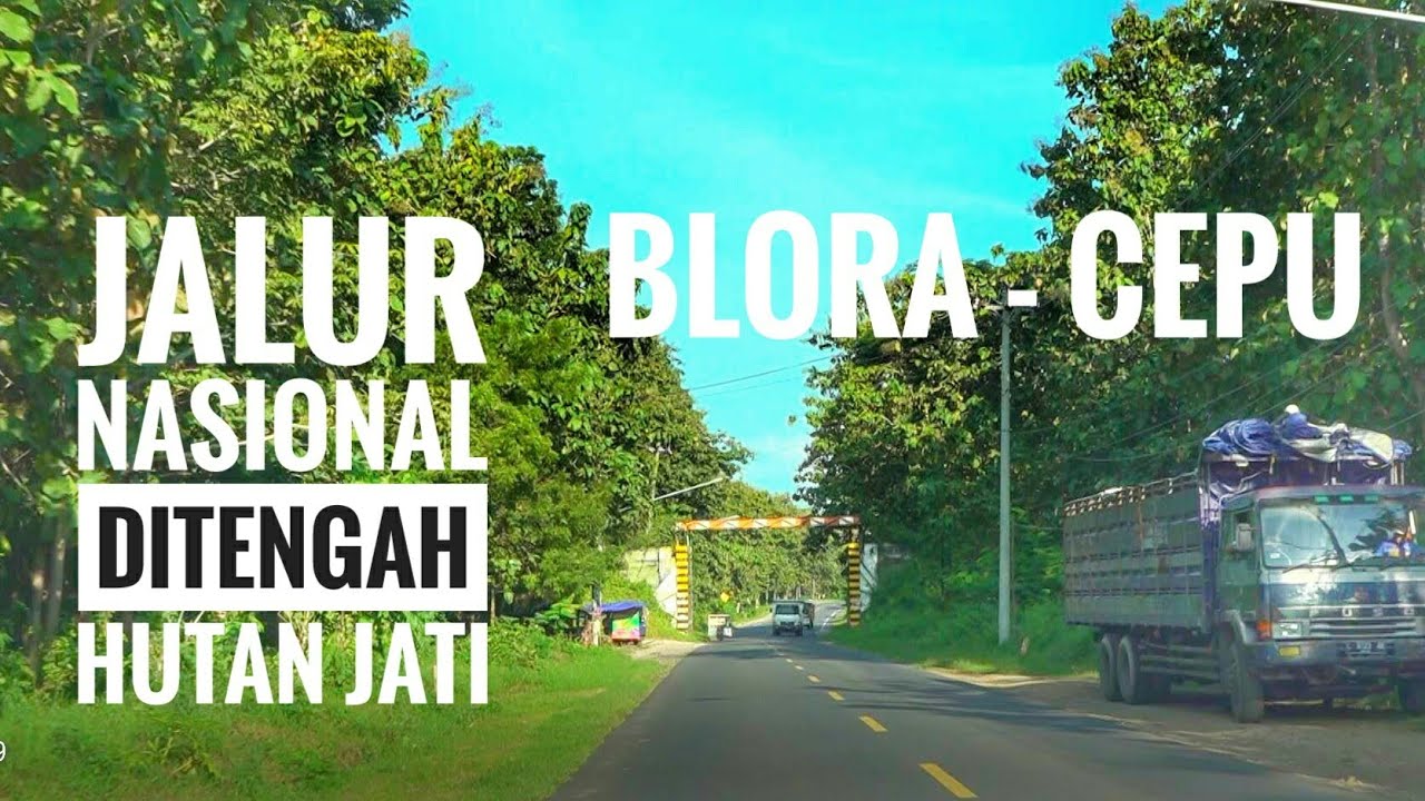 Perjalanan Blora - Cepu Lewat Jalur Nasional ditengah Hutan - YouTube