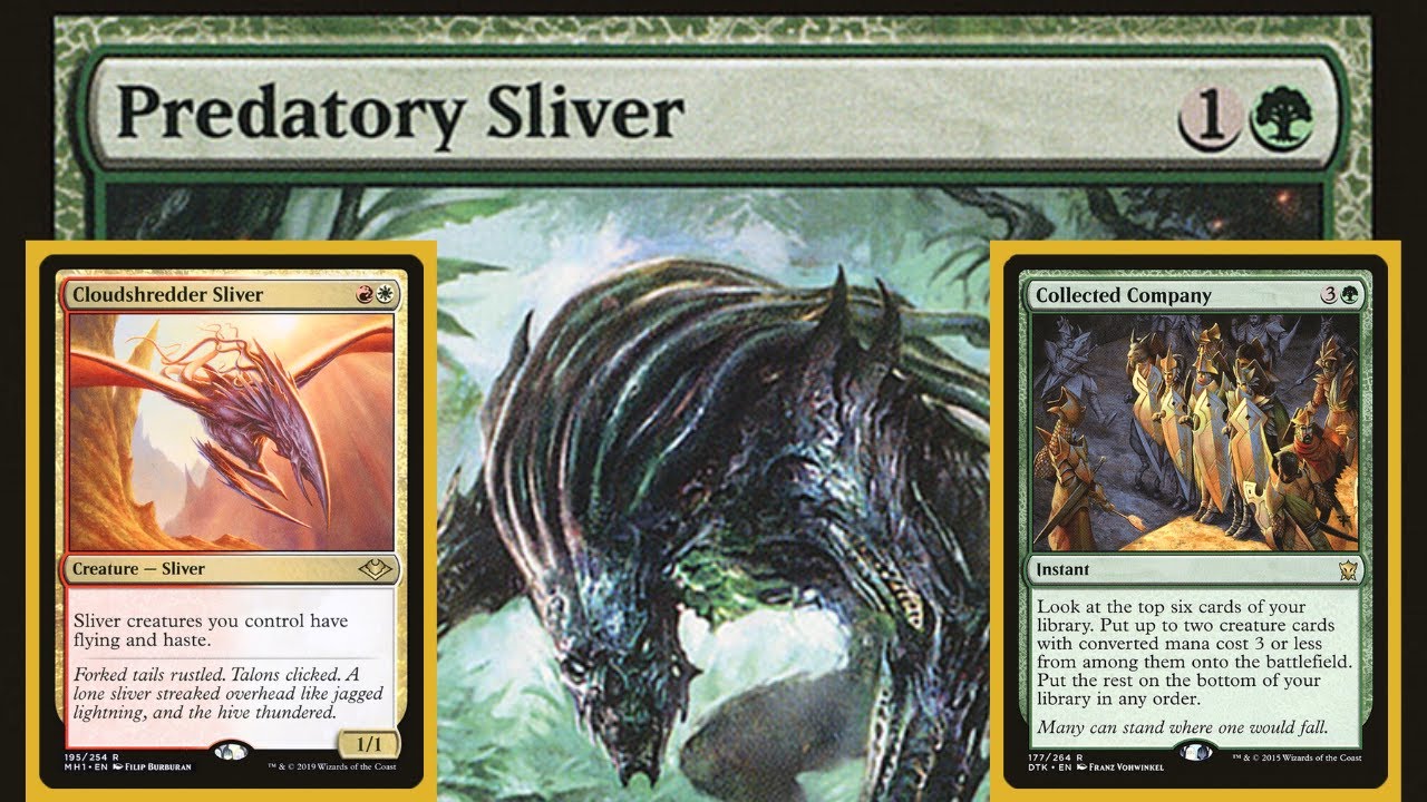 CoCo Slivers | Timeless - YouTube