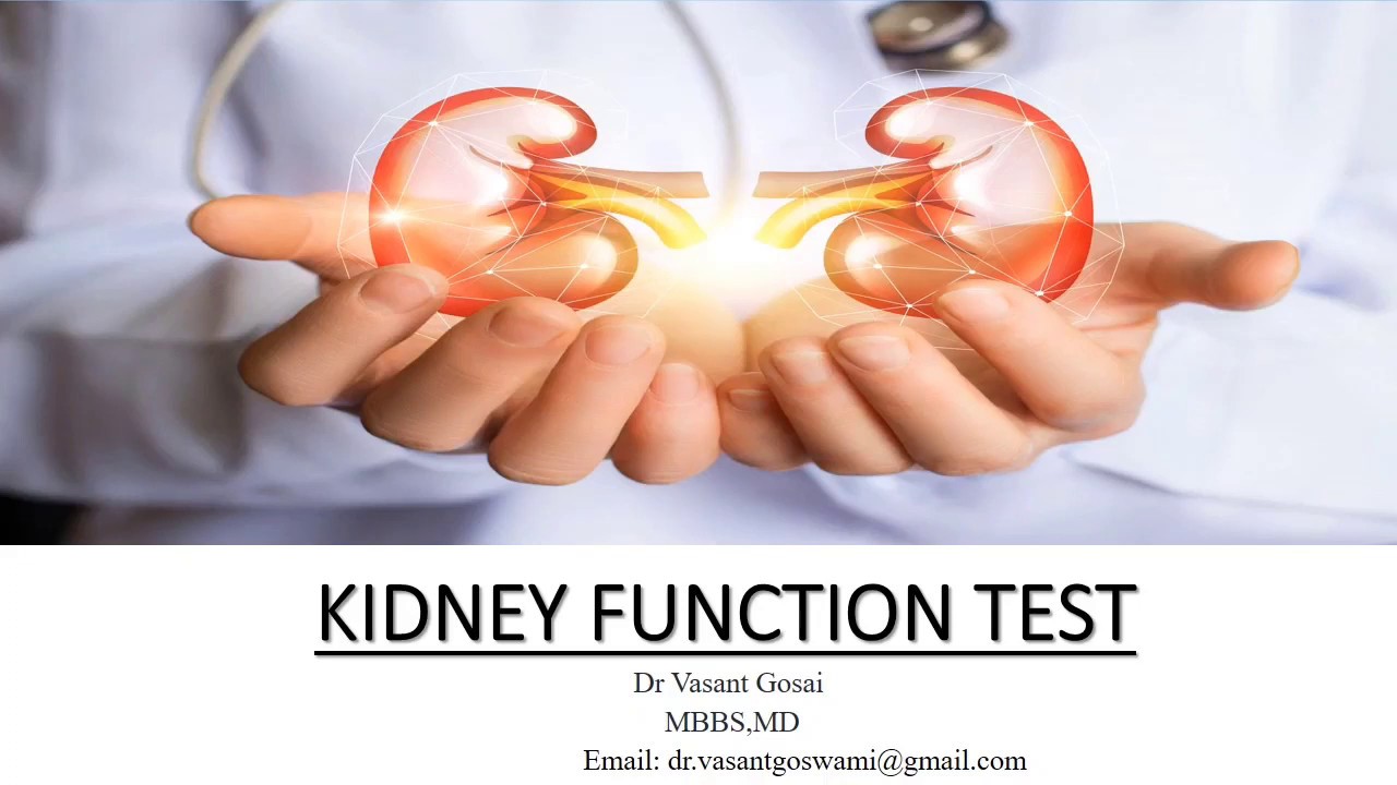 Kidney Function Tests|| RFT || Biochemistry - YouTube