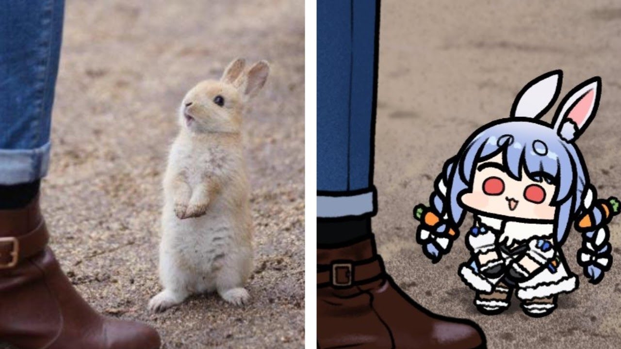 Random pekora rabbit 6 | Animal hololive - YouTube