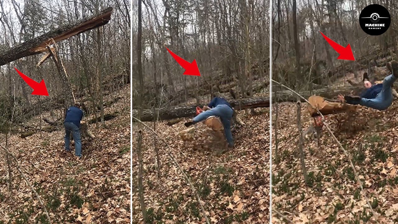 Dangerous Fastest Idiots Cutting Tree Fails Skill With Chainsaw | Tree ...