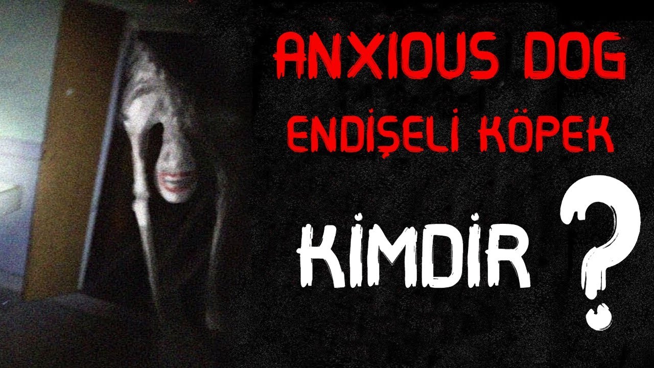 Anxious Dog'un GERÇEK Hikâyesi - Trevor Henderson Miti - Korku Hikâyesi ...