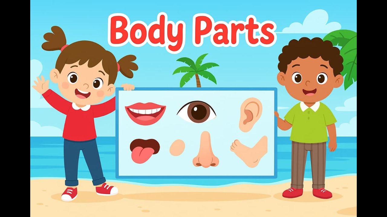 Head, Shoulders, Knees, and Toes – Let’s Explore Our Body Together ...