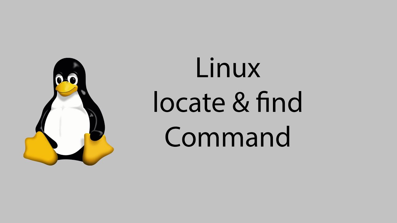 Learn Linux #11 - locate & find Command - YouTube