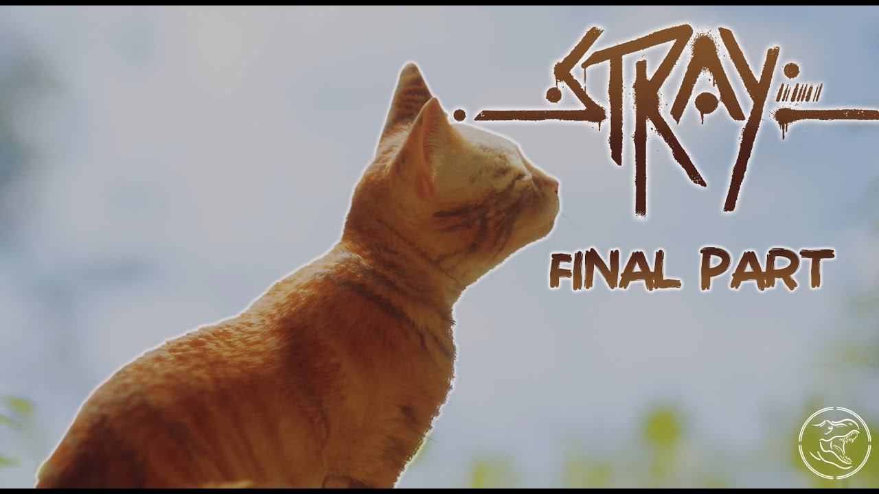 Stray #Final Part | PS5 | Let's Play - YouTube