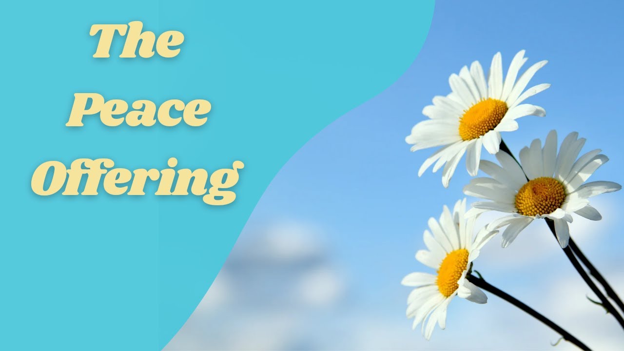 The Peace Offering || Box of Greetings - YouTube