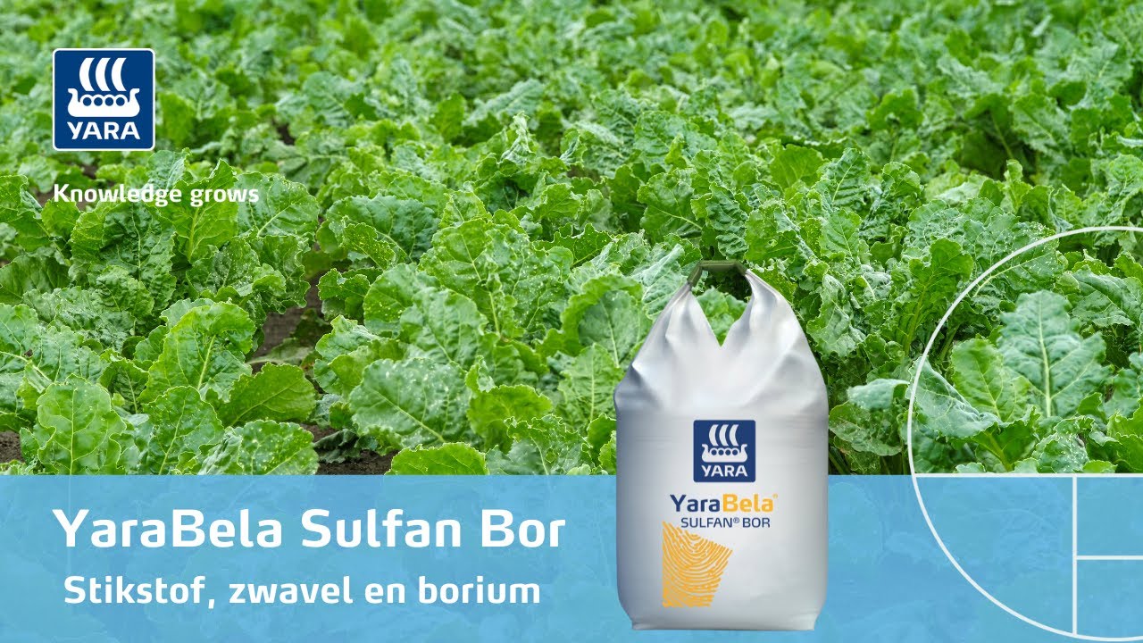 YaraBela Sulfan Bor | Korrelmeststof met stikstof, zwavel en borium ...