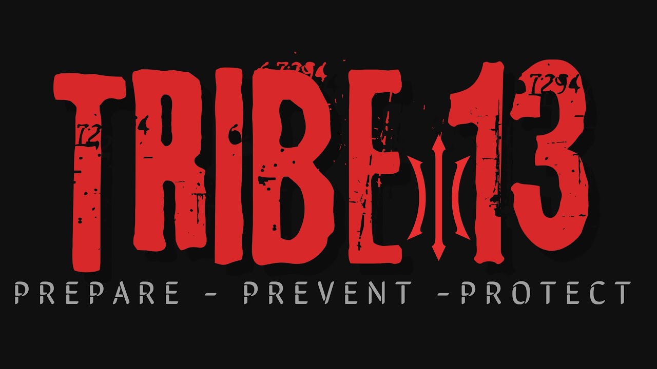 Extract from Tribe 13 Training Platform - Combo Drill - Knife - YouTube