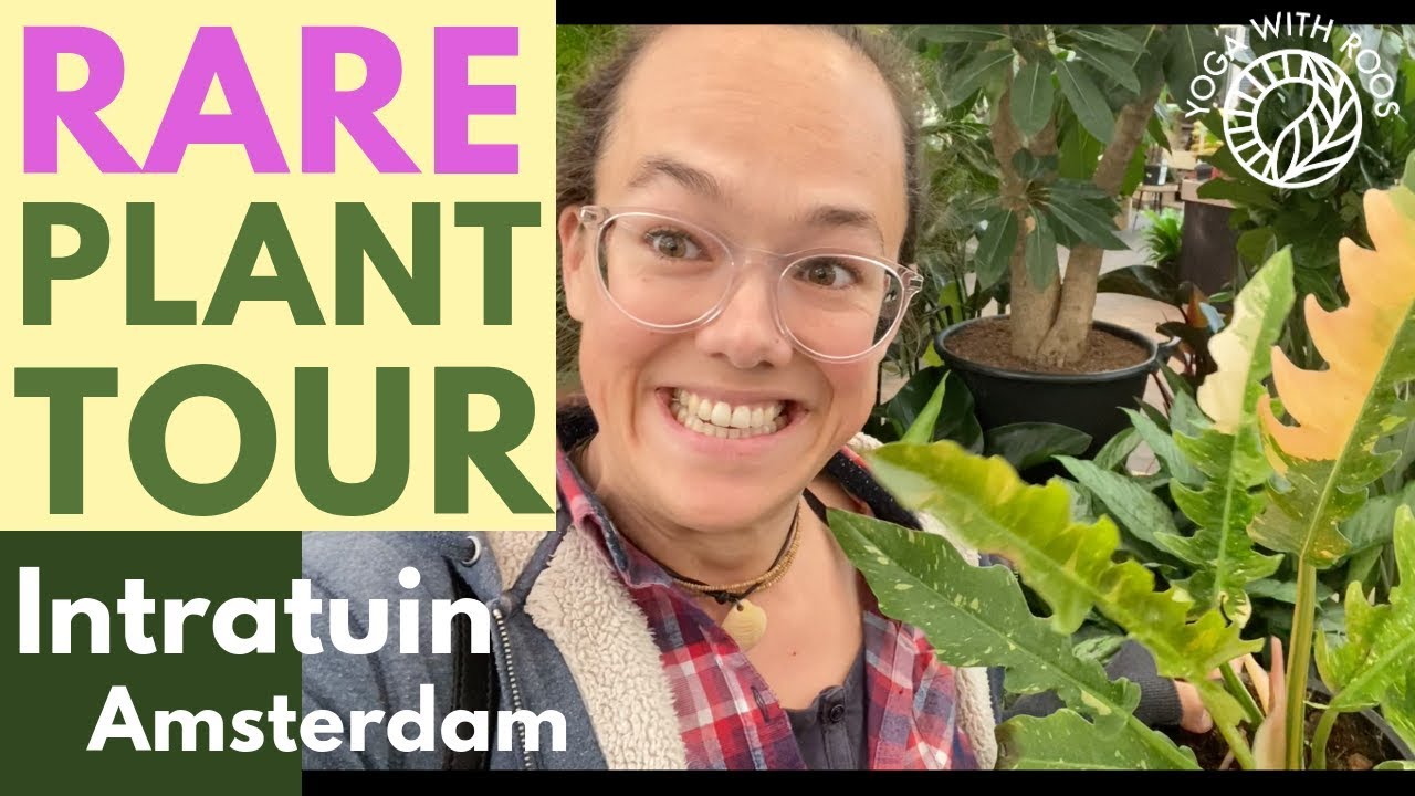 RAREST plant shopping and HAUL | Intratuin Amsterdam | Plant with Roos ...