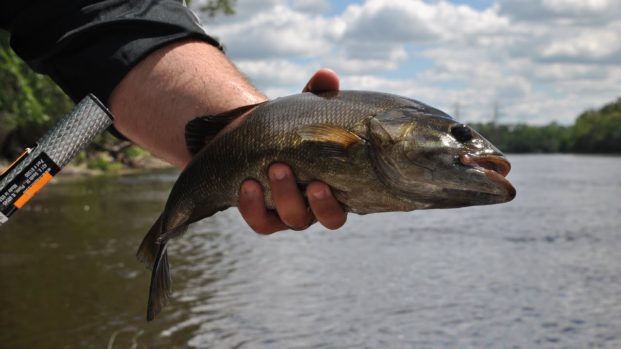 Fly Fish Iowa: 2022 Season - YouTube