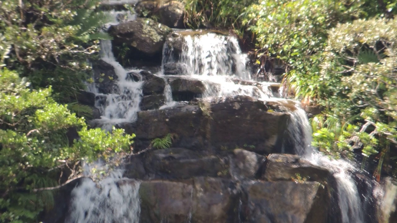 Alexandra Falls(Mauritius)-Close Up View - YouTube