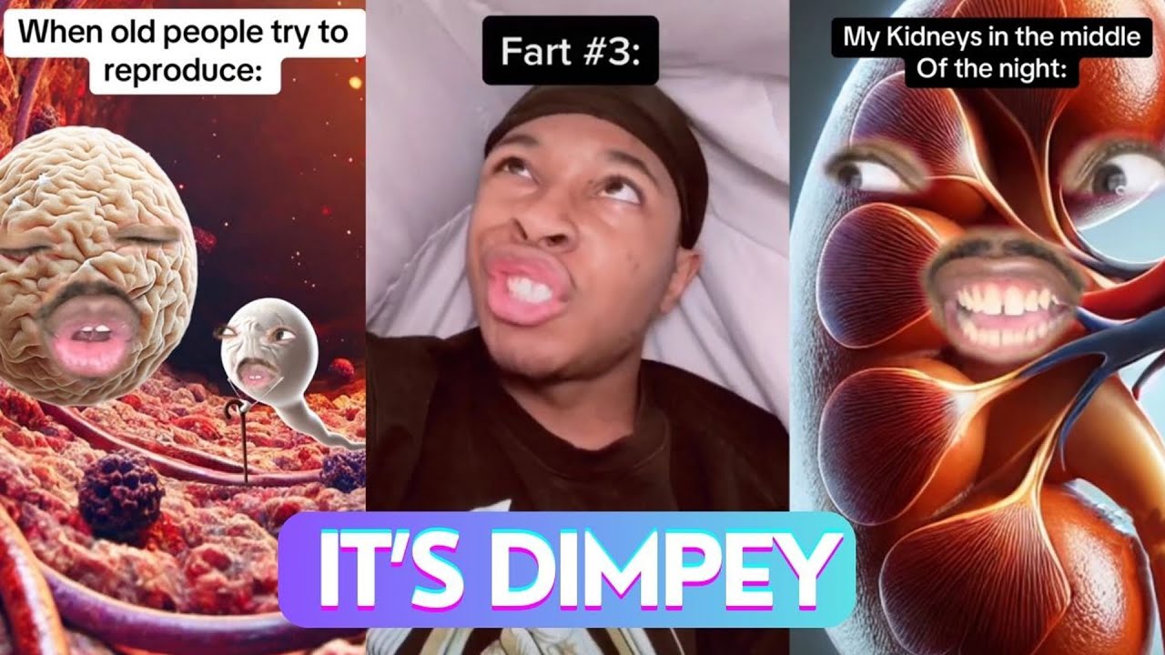 *3+ HOUR* New Best Dimpey6 Funny Shorts 2024 - New Funny Tik Tok Memes ...