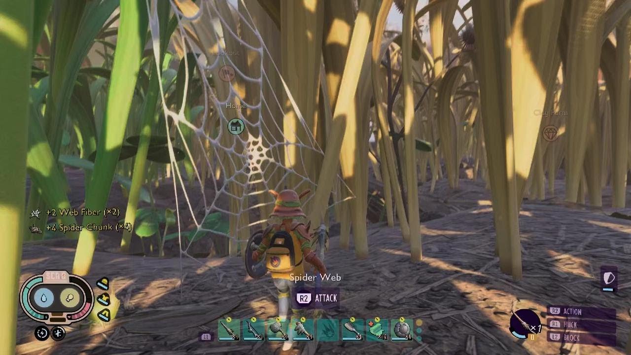 Grounded_OP Orb Weaver - YouTube