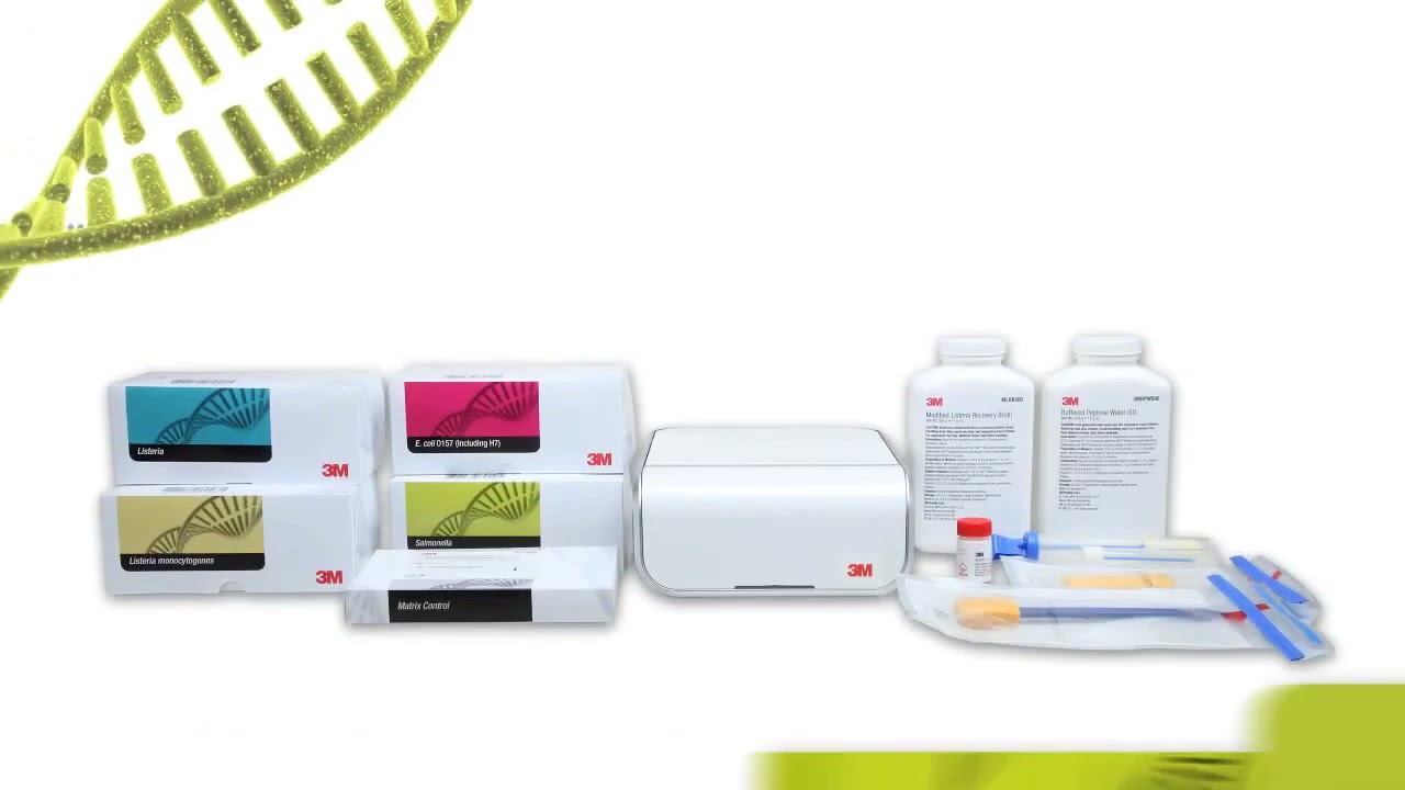 3M™ Molecular Detection System (MDS) - YouTube